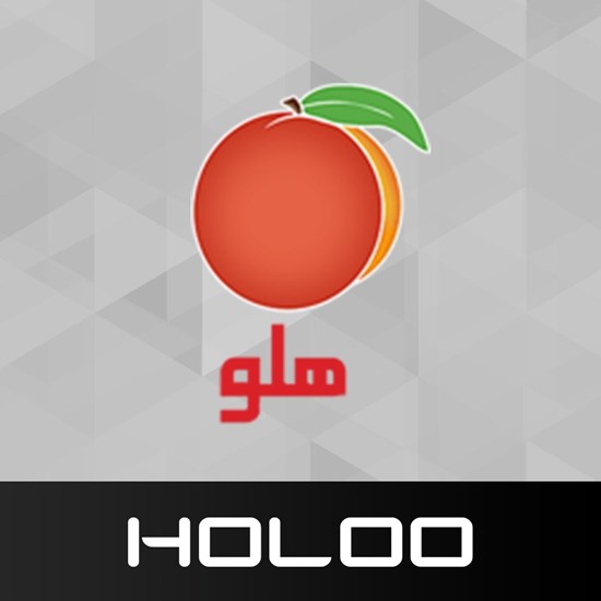 یکپارچه سازی با نرم افزار حسابداری هلو | فروش گستر